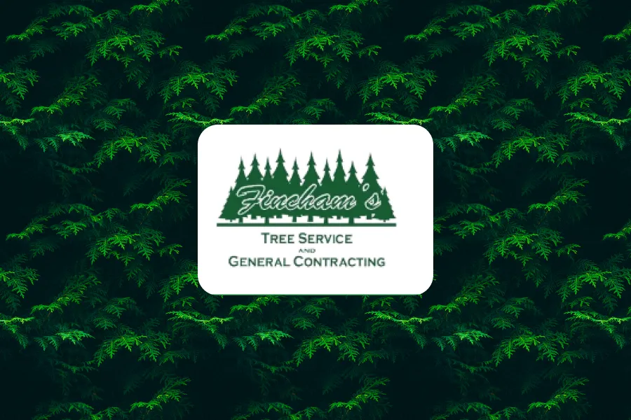 Tree Services Toms Brook, VA | Call Us Now! | Fincham's Tree & General ...